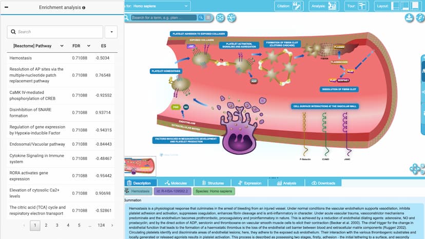 Powerful single-cell transcriptome analysis in a simple UI