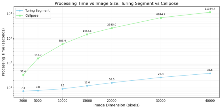 Turing Segment: A high-performance Cellpose Algorithm for Cell Segmentation - BioTuring